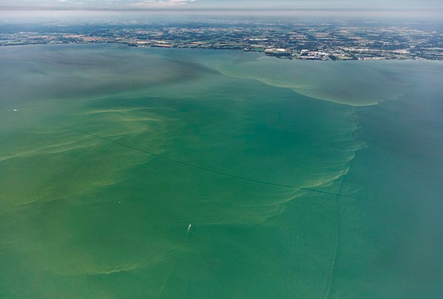 Lake Erie algal bloom plan needs more punch – Michigan Environmental ...