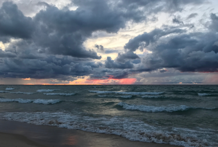 Home - Michigan Environmental Council